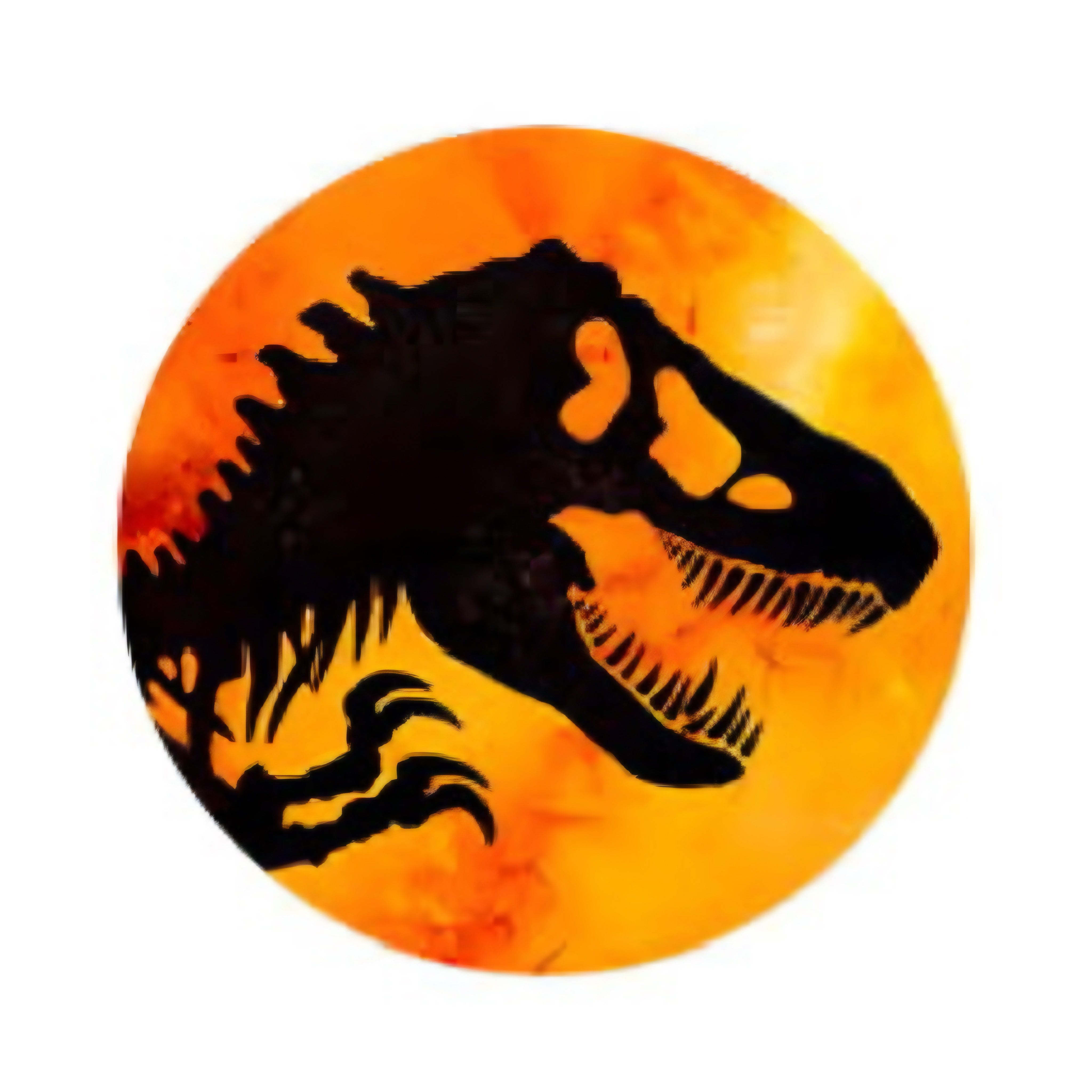 Amber Collection – Dinohunter Store